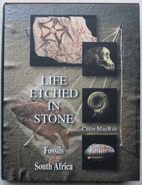 Africana - LIFE ETCHED IN STONE - FOSSILS OF SOUTH AFRICA. Colin MacRae was sold for 480.00 on ...